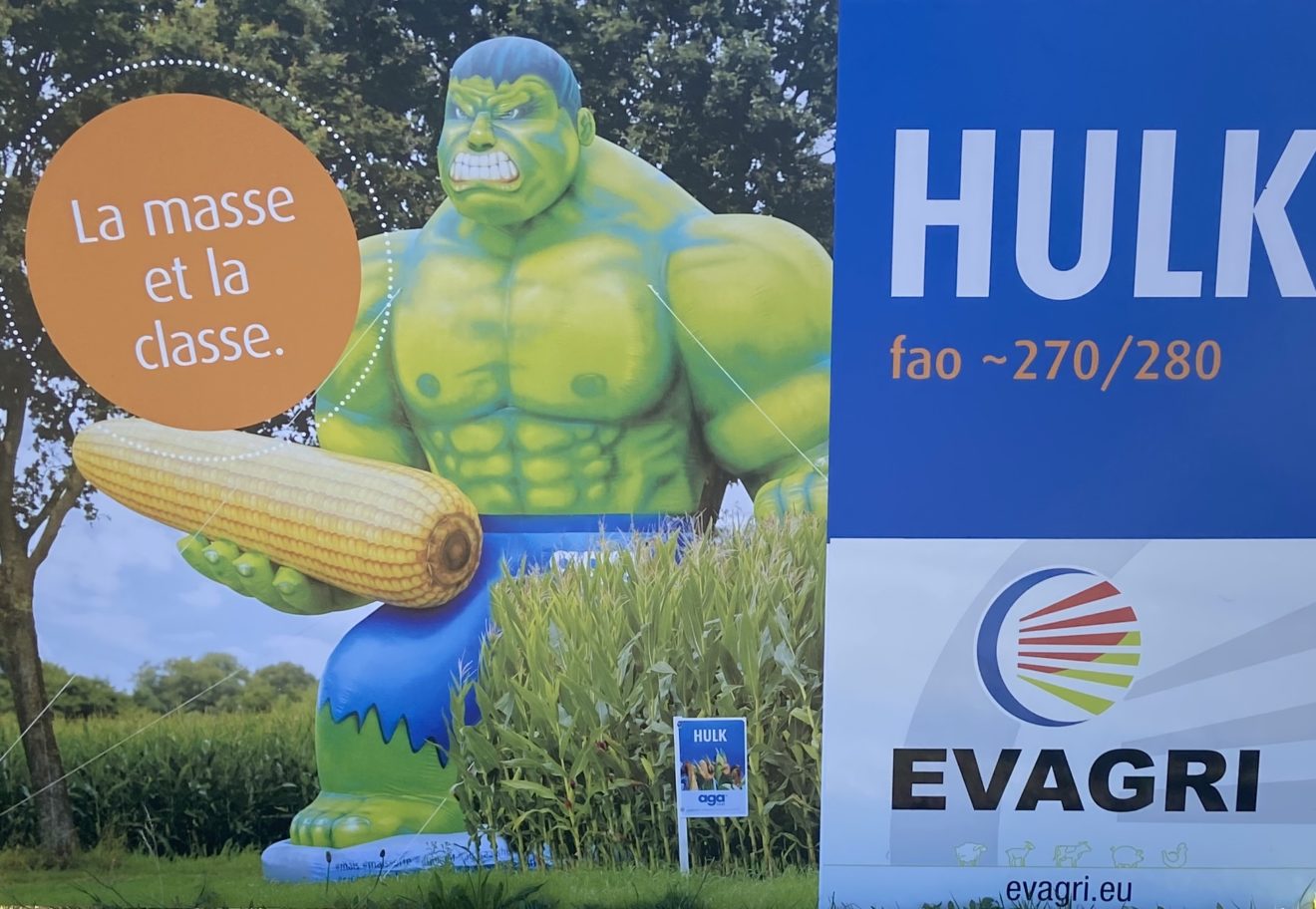 HULK. indice 270 / 280 - EVAGRI - Maïs demi-précose : fao- 270 / 280 ...